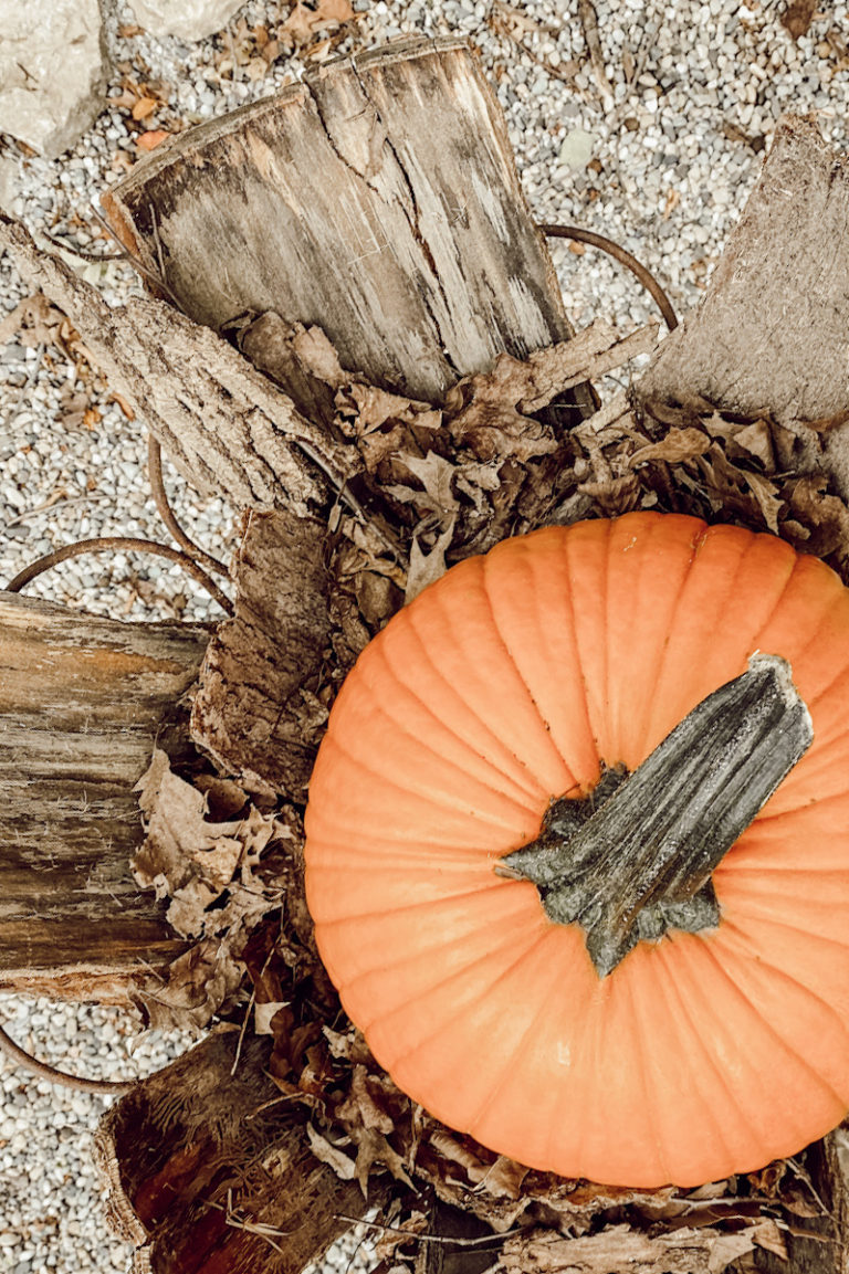 Fire Pit Decorated For Fall | The Best Outdoor Fall Decor