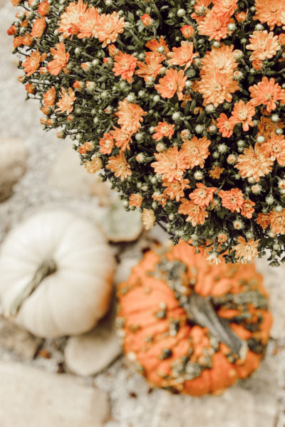 Fire Pit Decorated For Fall | The Best Outdoor Fall Decor