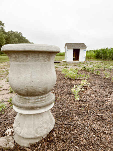 Large Urn and Plans for the Garden Area - Deb and Danelle