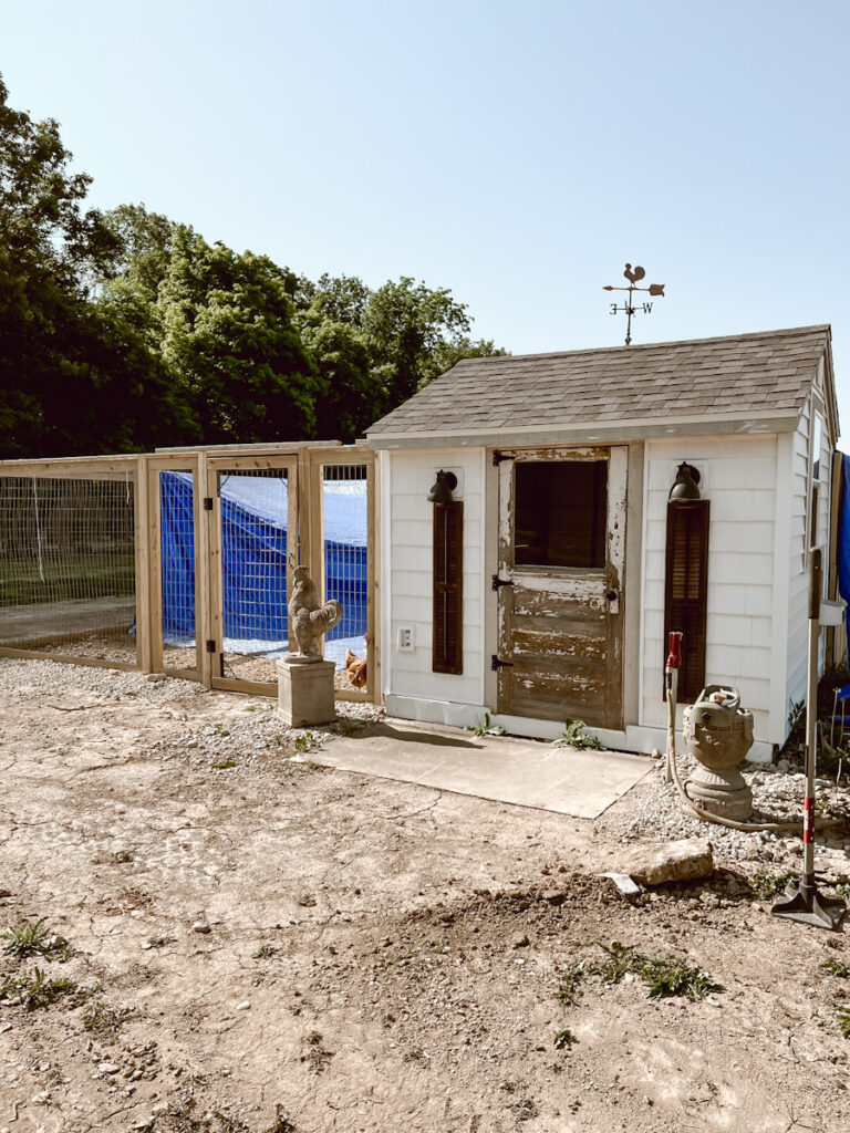Plans for our Vegetable Garden - Deb and Danelle