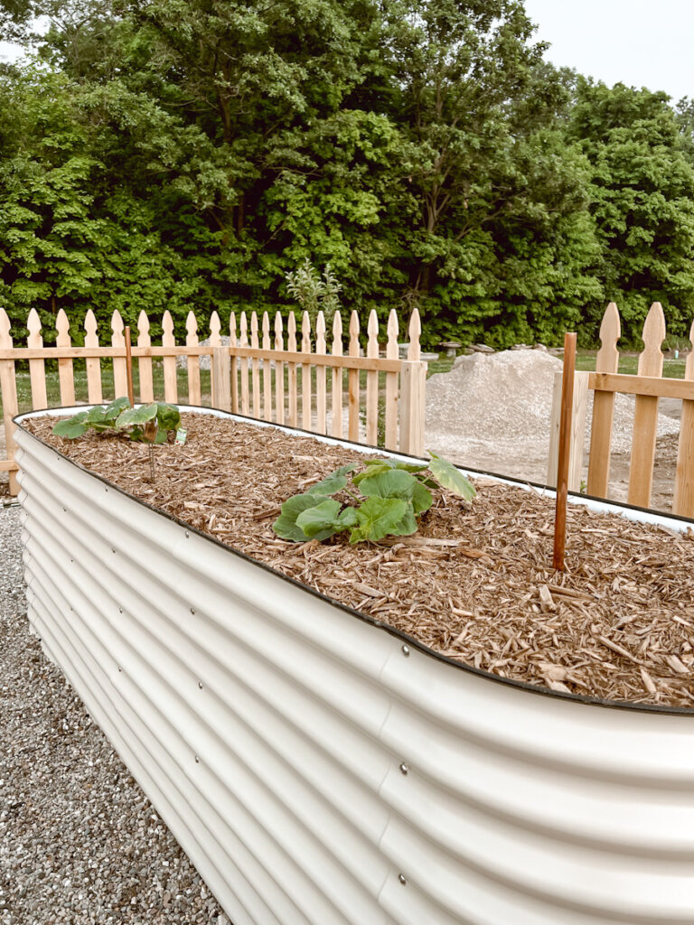 Updates of our Vegetable Plants using Electroculture - Deb and Danelle