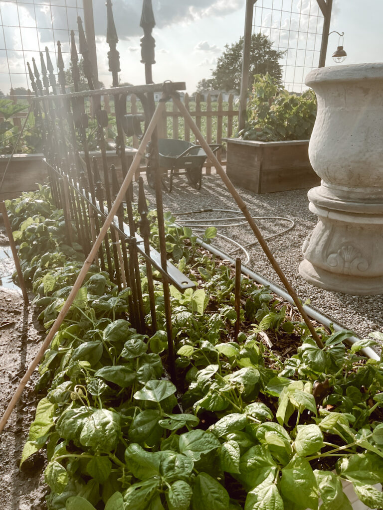 Antique Trellis Idea - Deb and Danelle