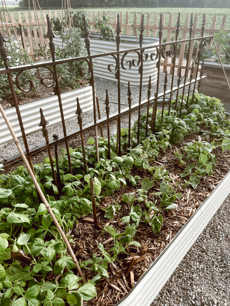 Antique Trellis Idea - Deb and Danelle