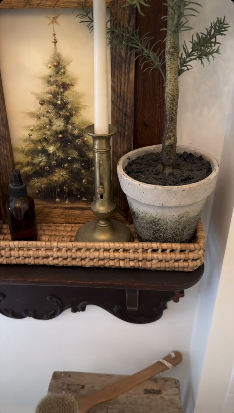 New Life for An Old Shelf - Deb and Danelle